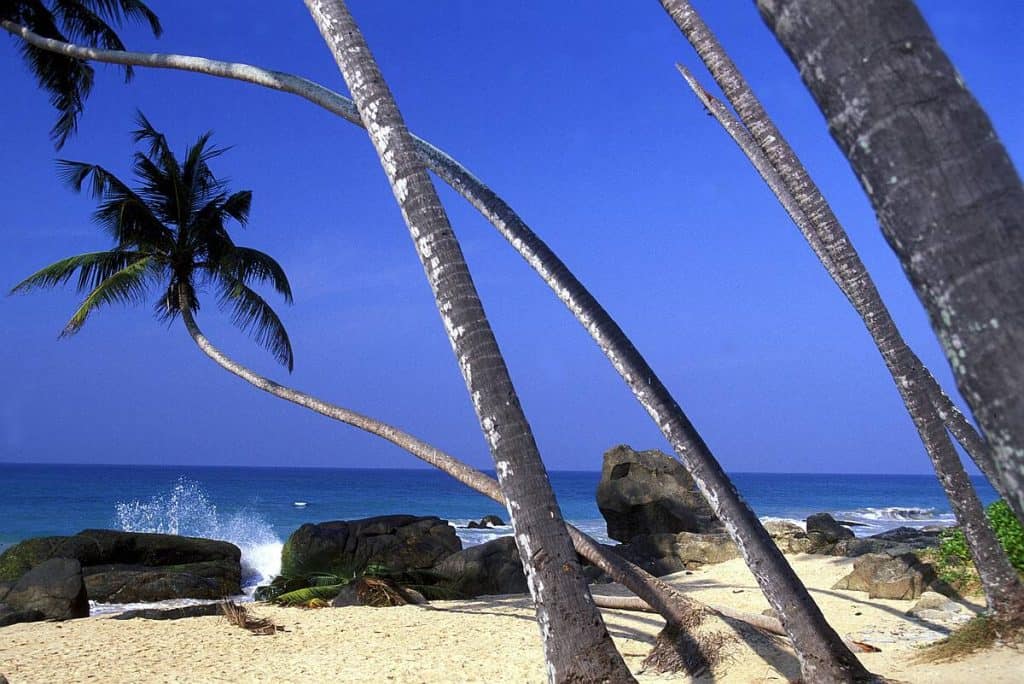 10 Things To Do In Hikkaduwa Sri Lanka | Adventure and Sunshine